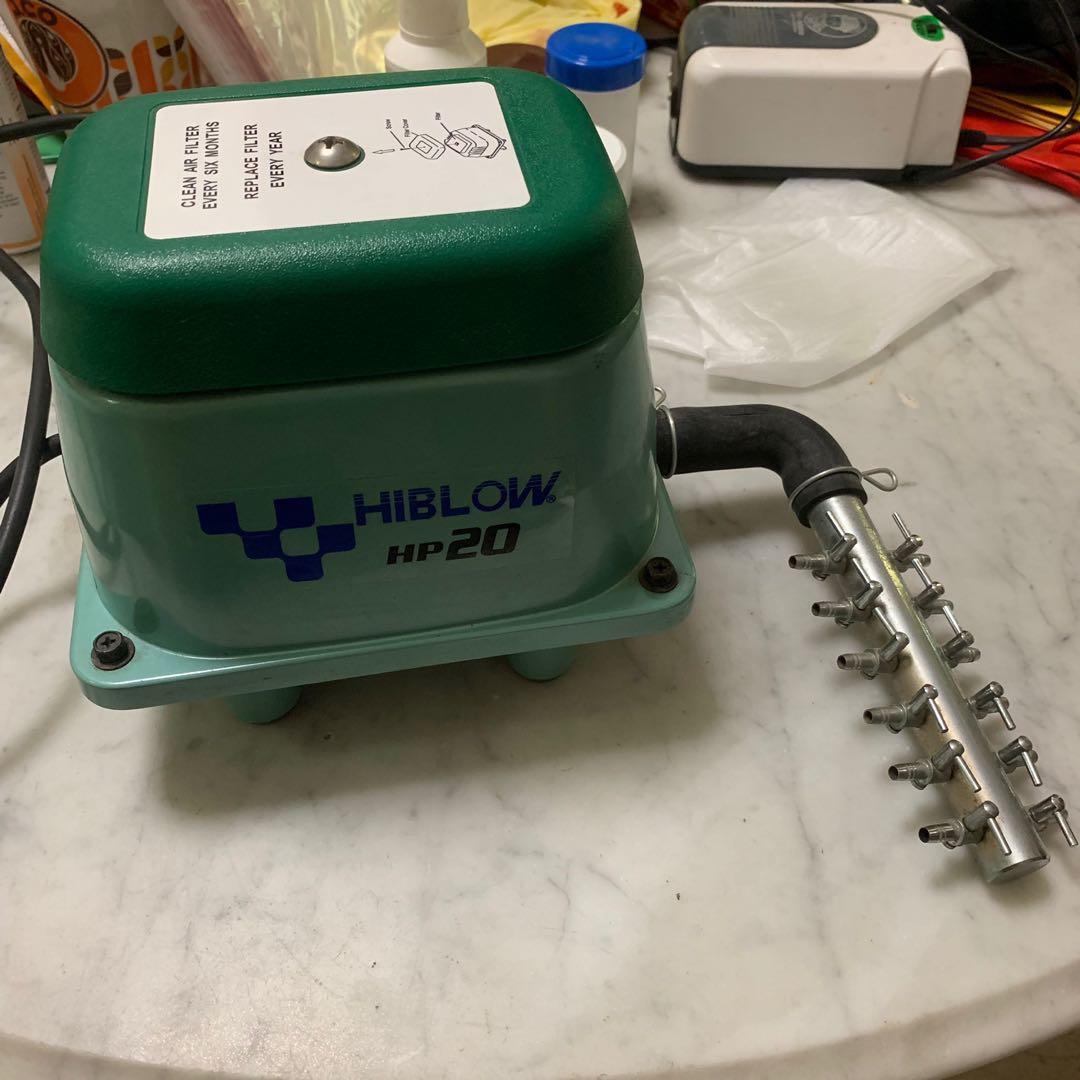 HiBlow HP20 MadeInJapan, Pet Supplies, Homes & Other Pet Accessories on ...