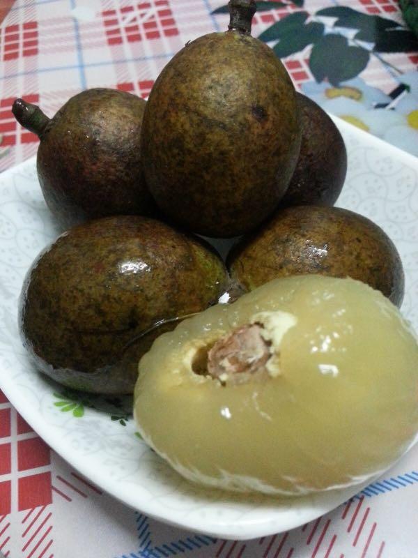 Brazilian longan! Rare!, Furniture & Home Living, Gardening, Plants ...