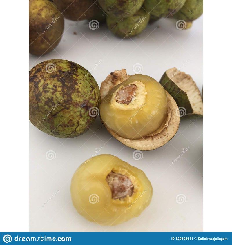 Brazilian longan! Rare!, Furniture & Home Living, Gardening, Plants ...