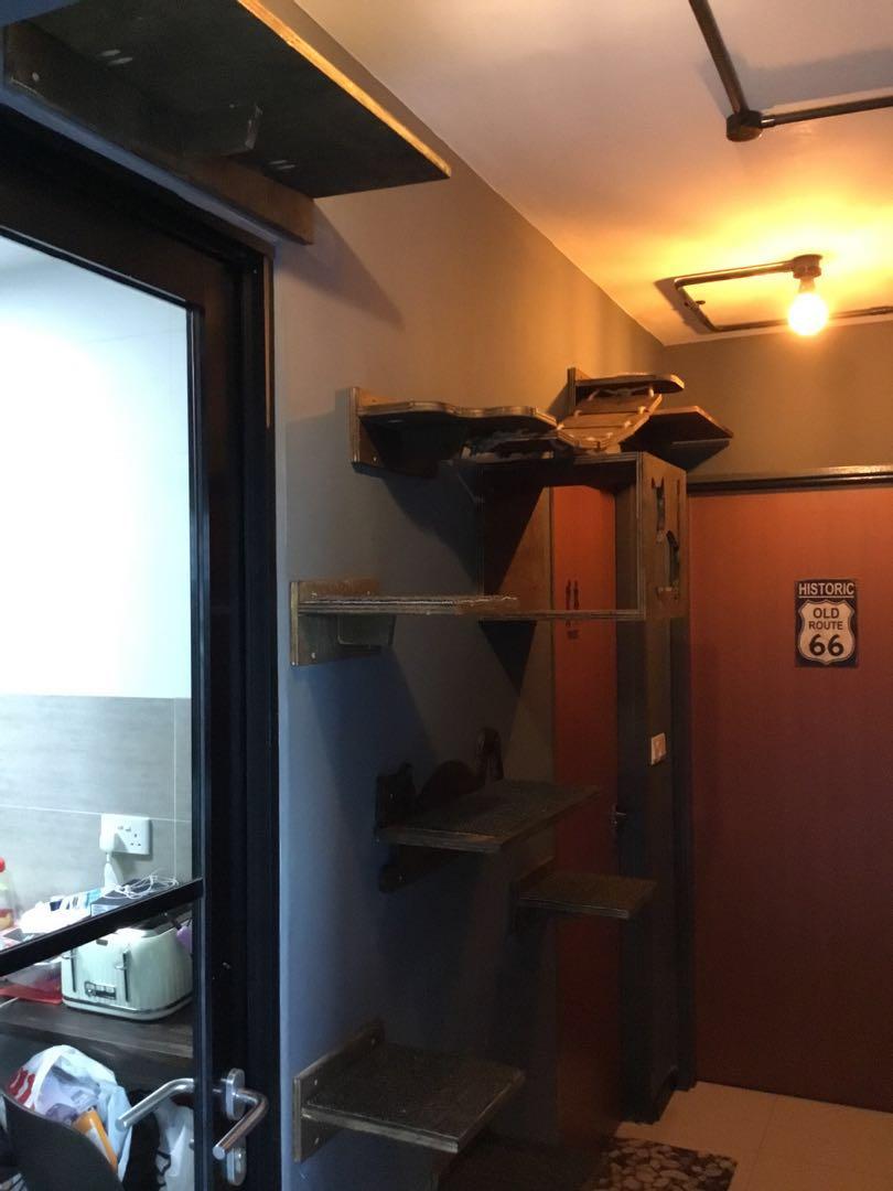 Cat Highway, Pet Supplies, Homes & Other Pet Accessories on Carousell