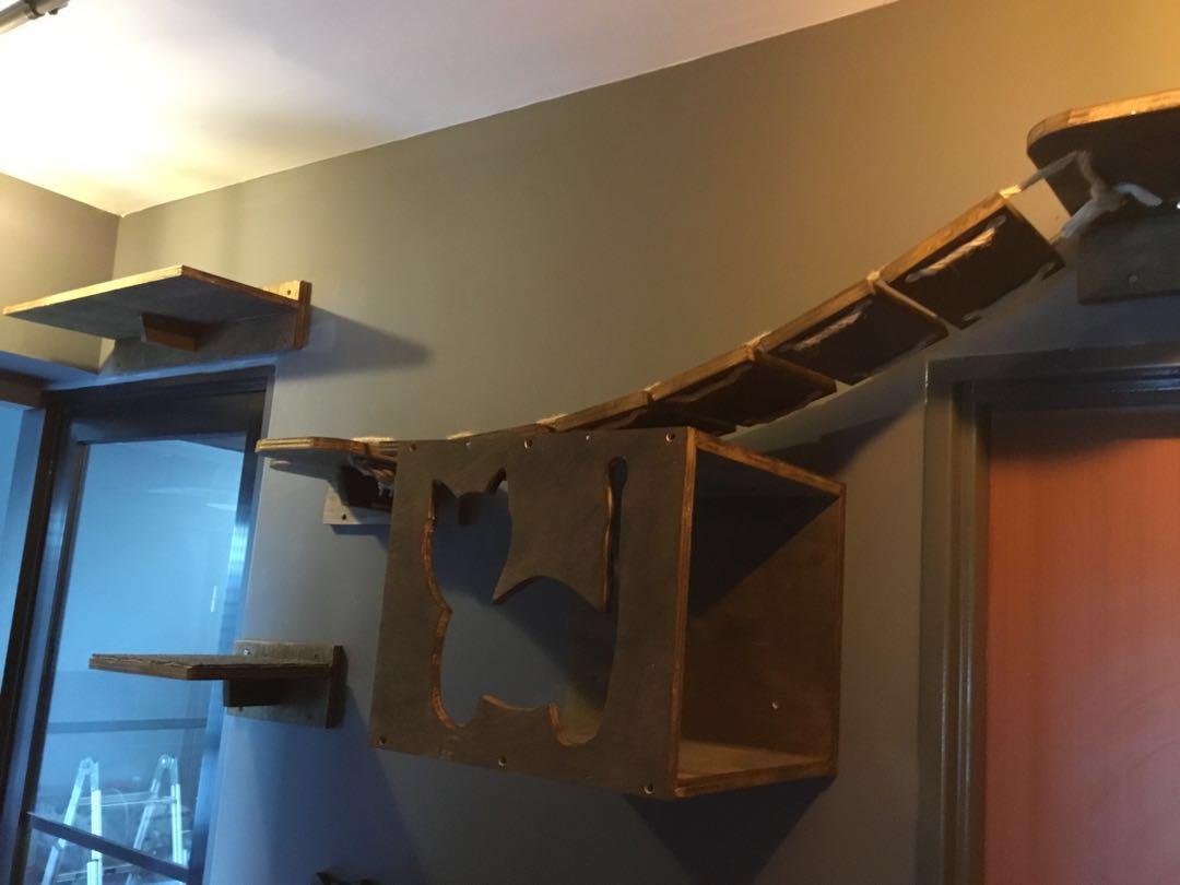 Cat Highway, Pet Supplies, Homes & Other Pet Accessories on Carousell