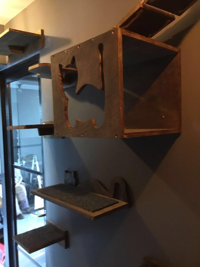 Cat Highway, Pet Supplies, Homes & Other Pet Accessories on Carousell