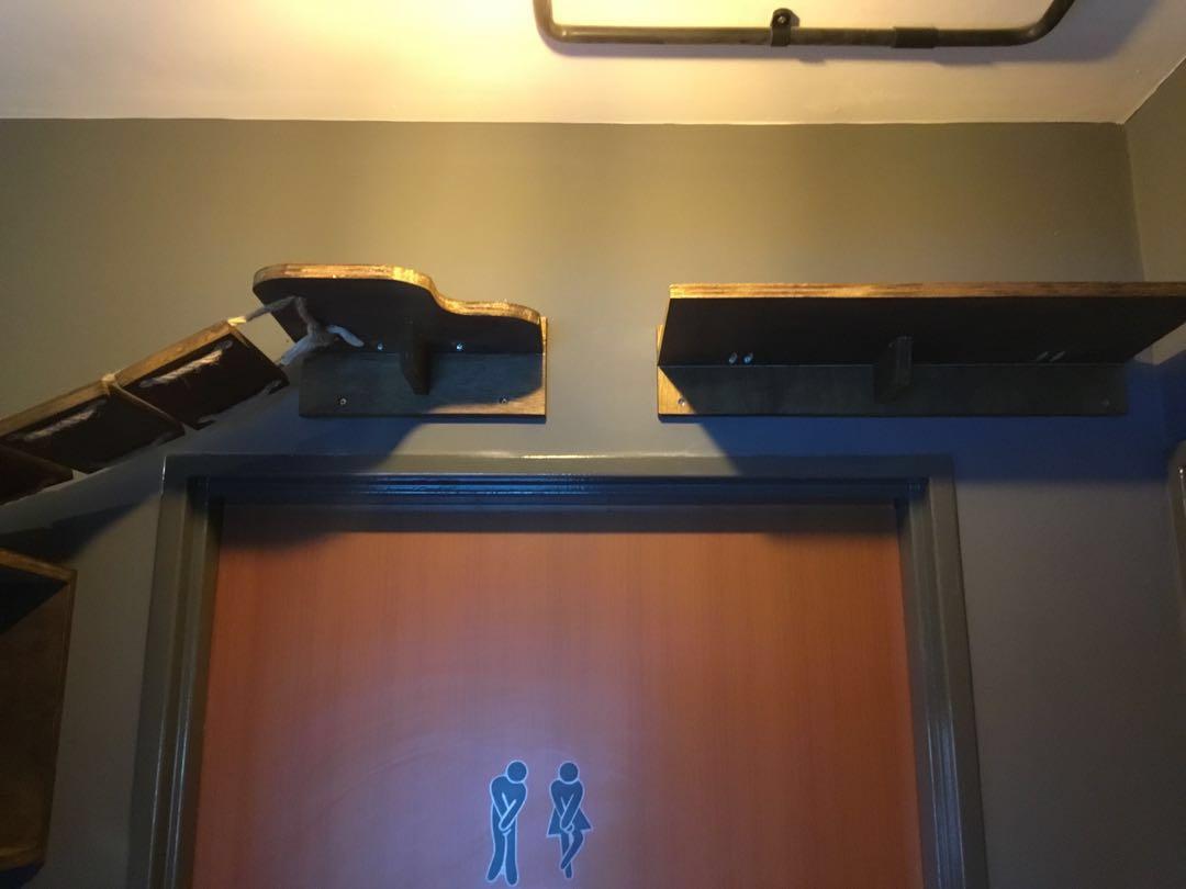 Cat Highway, Pet Supplies, Homes & Other Pet Accessories on Carousell