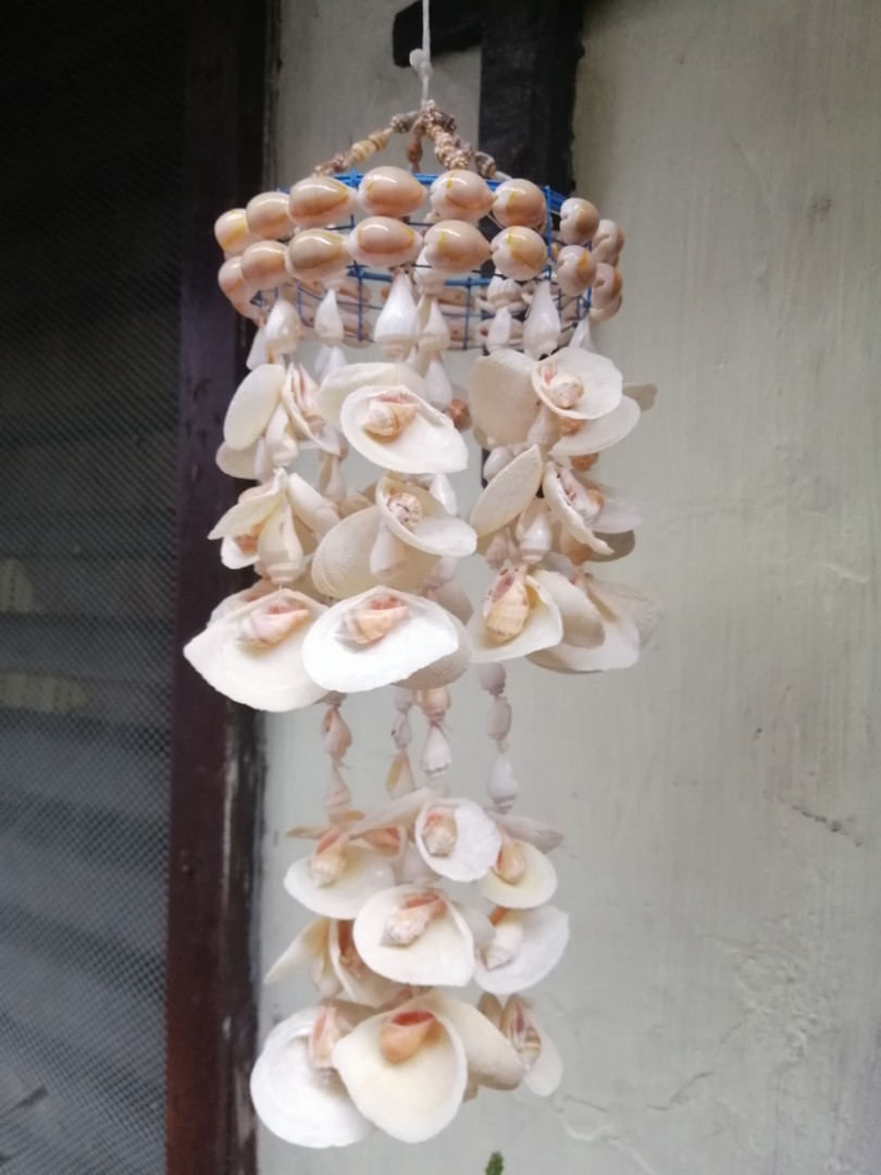 Shell hanging decorative, Furniture & Home Living, Home Decor, Other ...
