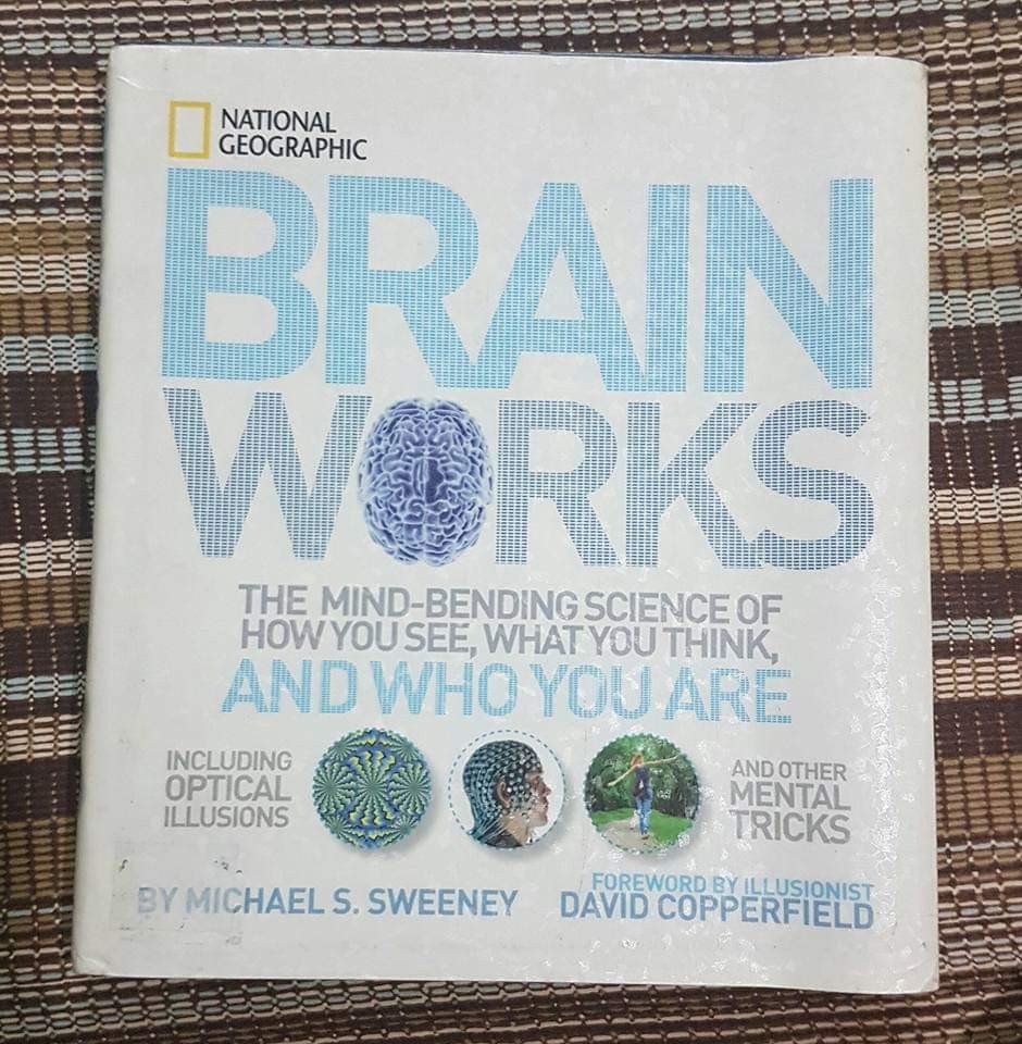 Brain Works, Hobbies & Toys, Books & Magazines, Children's Books on ...