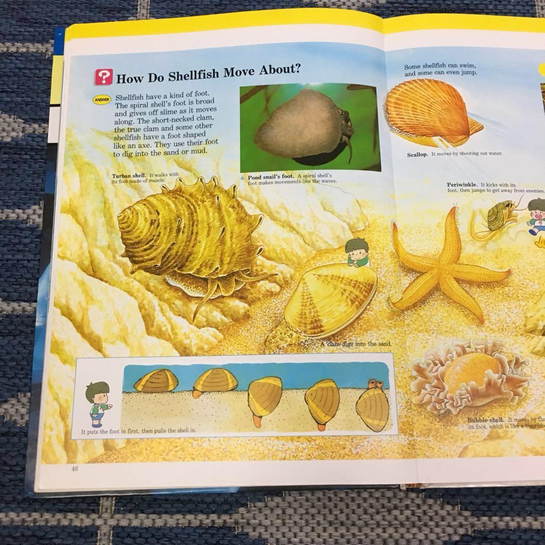 Life in the Water (A Child’s First Library of Learning), Hobbies & Toys ...