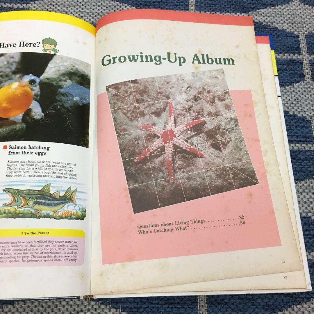 Life in the Water (A Child’s First Library of Learning), Hobbies & Toys ...