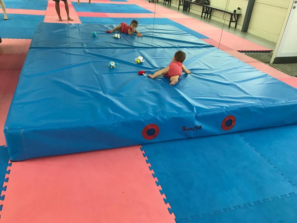 Professional crash mat. 3m x 2m, Sports Equipment, Exercise & Fitness ...
