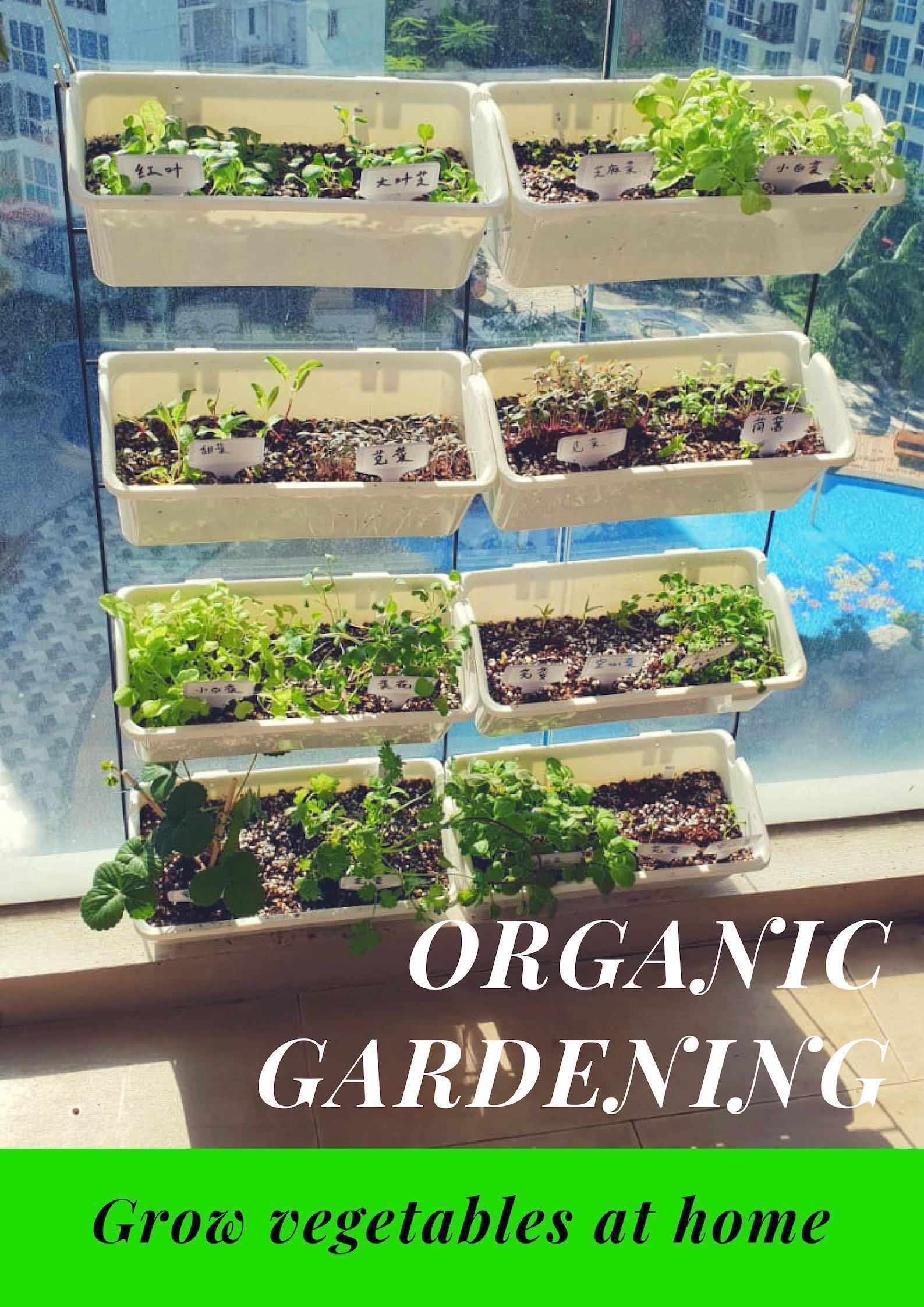 Vertical planting, vertical garden, home farming, vertical planter ...