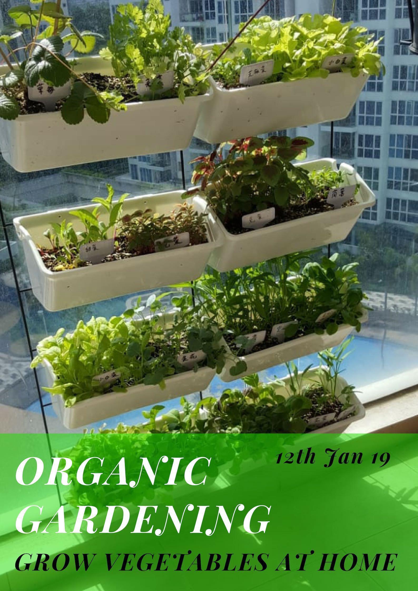 Vertical planting, vertical garden, home farming, vertical planter ...