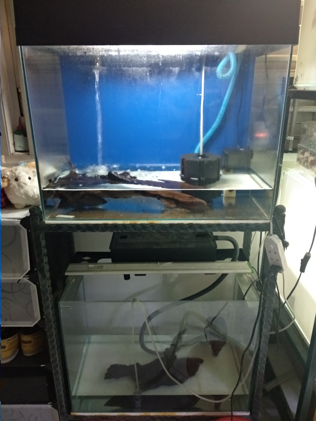 2 feet double deck fish tanks with stand, Pet Supplies, Homes & Other ...