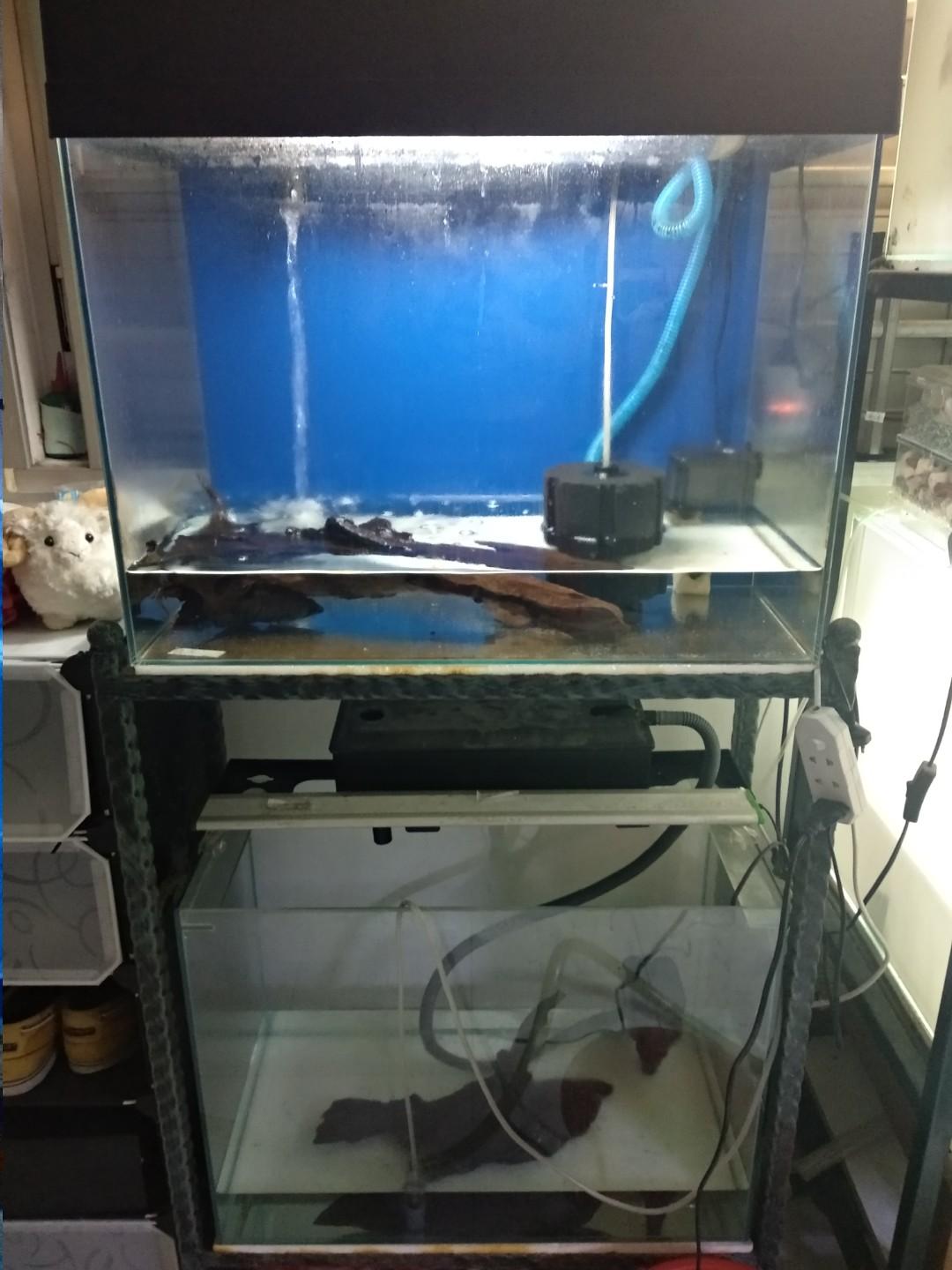 2 feet double deck fish tanks with stand, Pet Supplies, Homes & Other ...