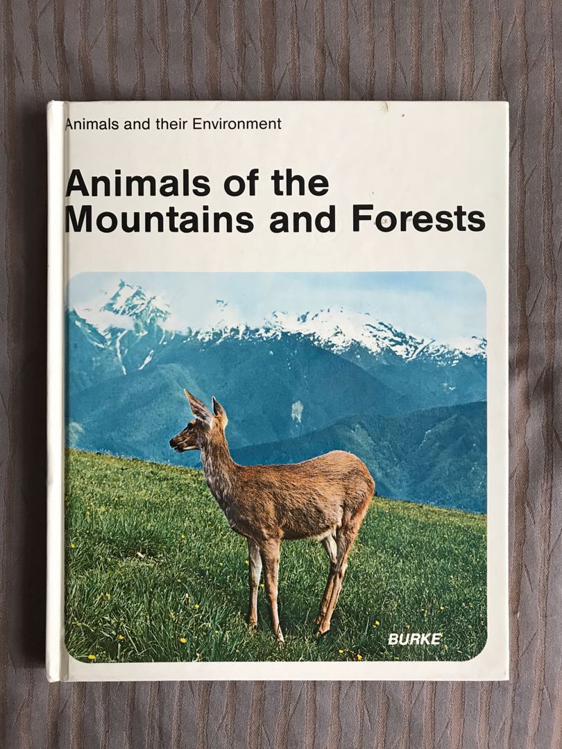 Animals and their Environment : Animals of the Mountains and Forests ...