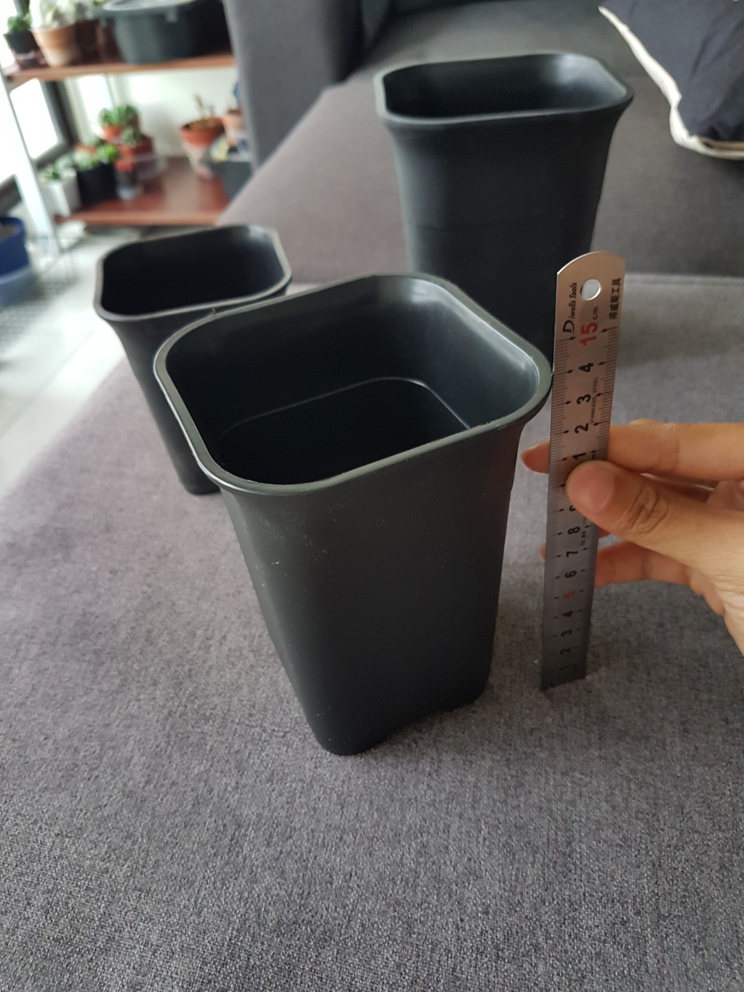 Black square pots 10x14cm (deep for haworthia), Furniture & Home Living ...