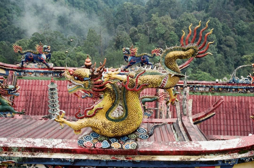 Sigma SA-7 / SA-7n SLR 35mm Film Camera - Film Tested, Photography ...