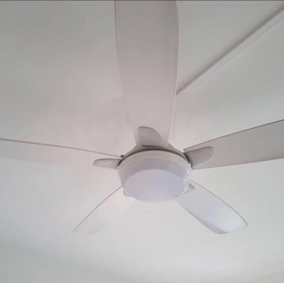 Amasco ceiling fan, Furniture & Home Living, Lighting & Fans, Fans on ...