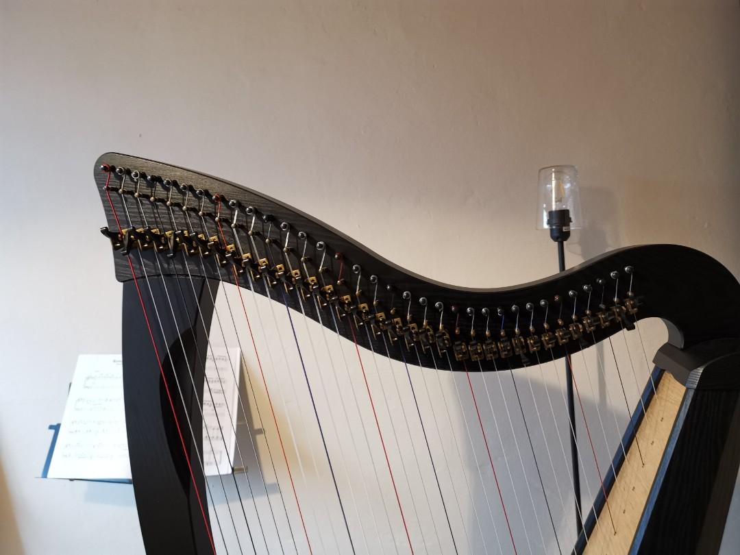 Ravenna 34 string lever harp, Hobbies & Toys, Music & Media, Musical ...