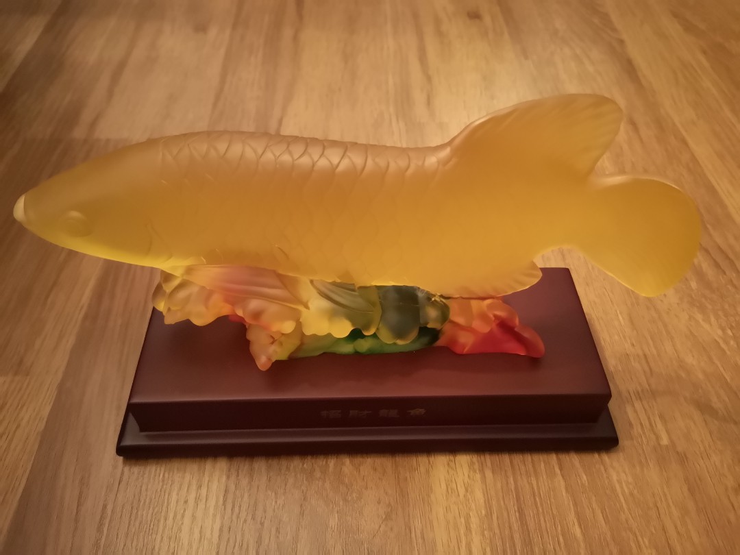 Feng Shui Wealth Arowana (Golden Dragon Fish) Figurine, Hobbies & Toys ...