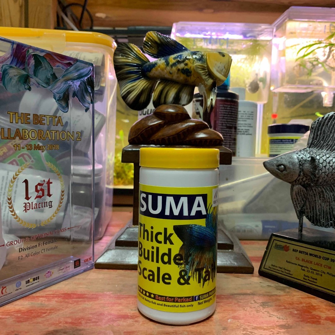 Suma betta food for scaling and fin thai fighting fish from thailand ...