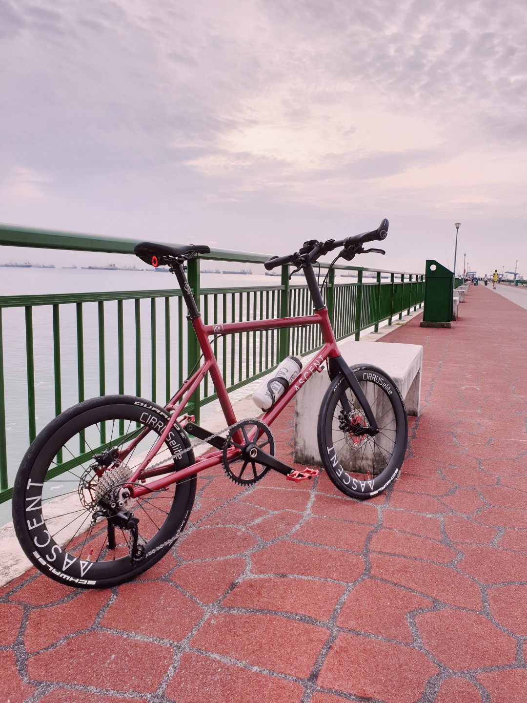 Accent Bolt Mini Velo Carbon Wheels, Sports Equipment, Bicycles & Parts ...