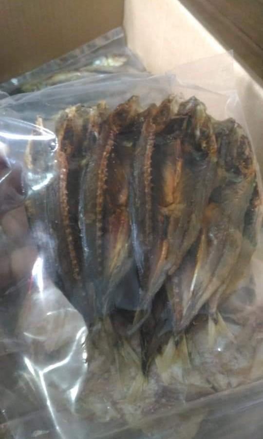 Dangget, Daeng, Tuyo, Dried fish and Dried Pusit, Food & Drinks ...