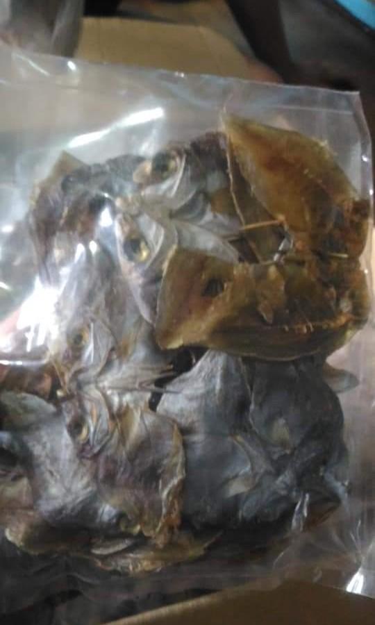 Dangget, Daeng, Tuyo, Dried fish and Dried Pusit, Food & Drinks ...