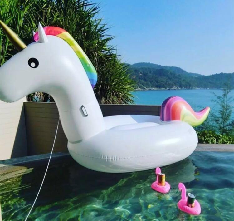 Giant Float (Uniform/Flamingo), Everything Else on Carousell