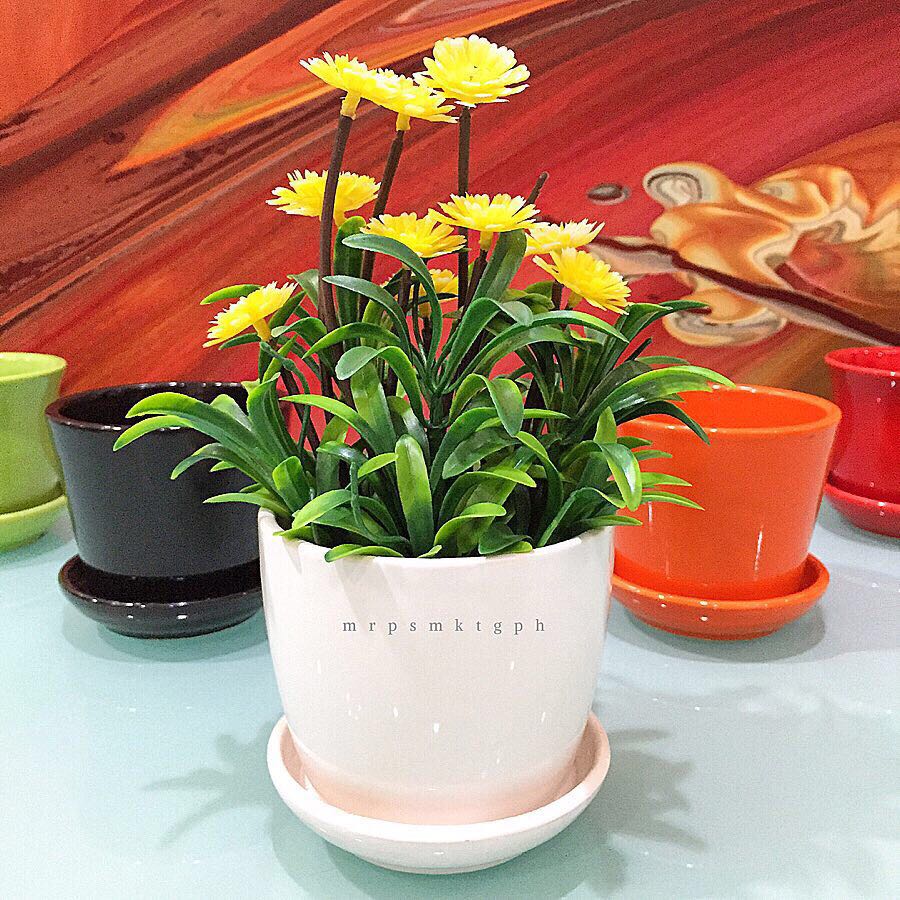 Ceramic Table Planter/ Pot, Furniture & Home Living, Gardening ...