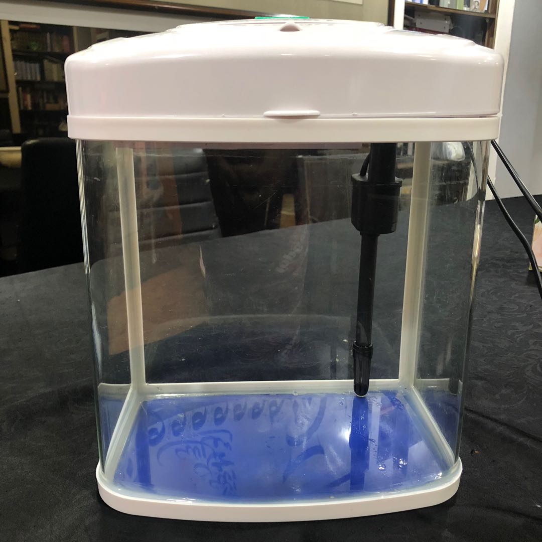Fish Tank (All in one), Pet Supplies, Homes & Other Pet Accessories on ...