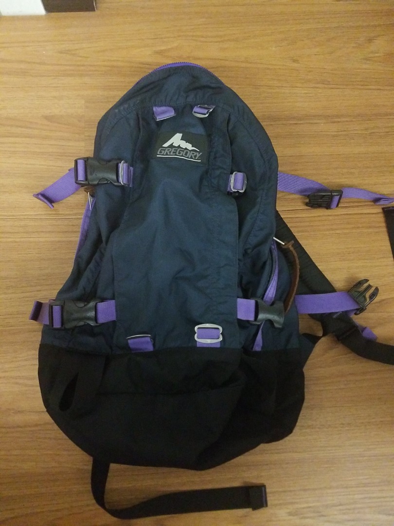 Gregory Backpack 22L 紫色 舊logo, 男裝, 袋, 背包 - Carousell