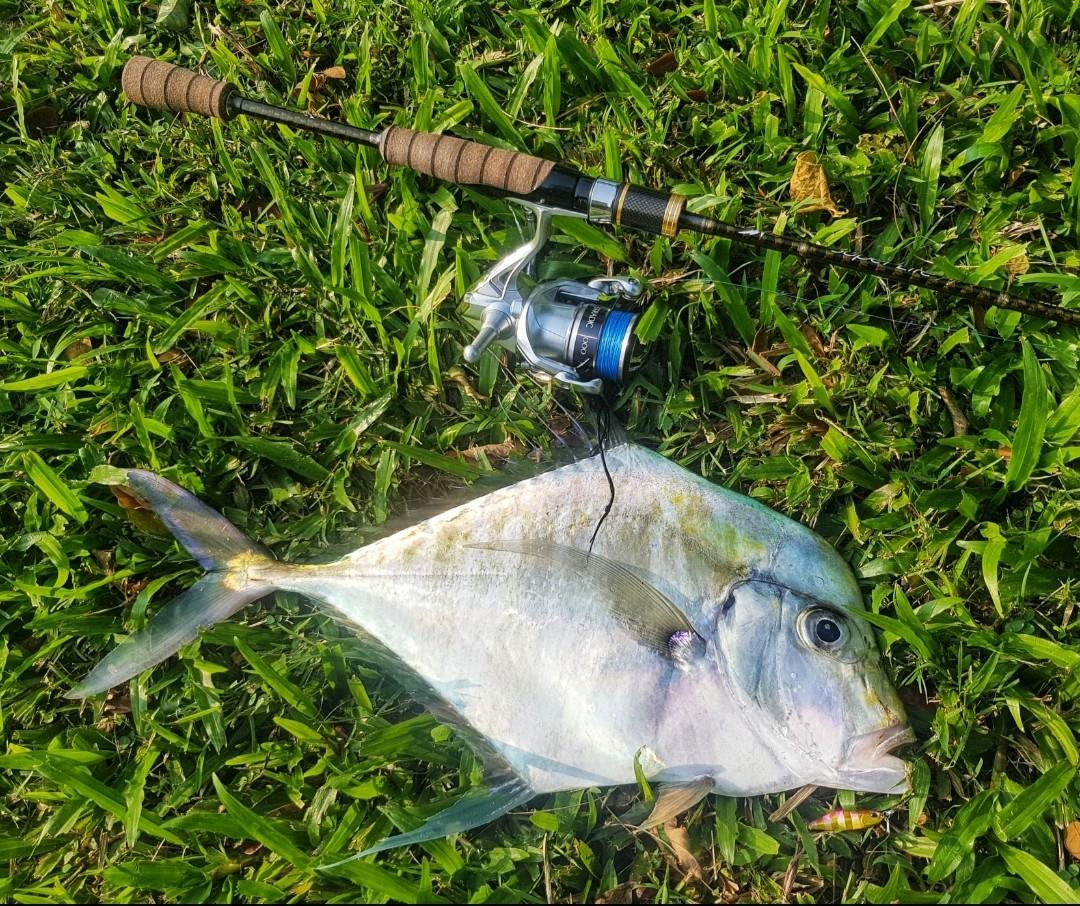 Kuying Superlite Ajing Fishing Rod, Sports Equipment, Fishing on Carousell