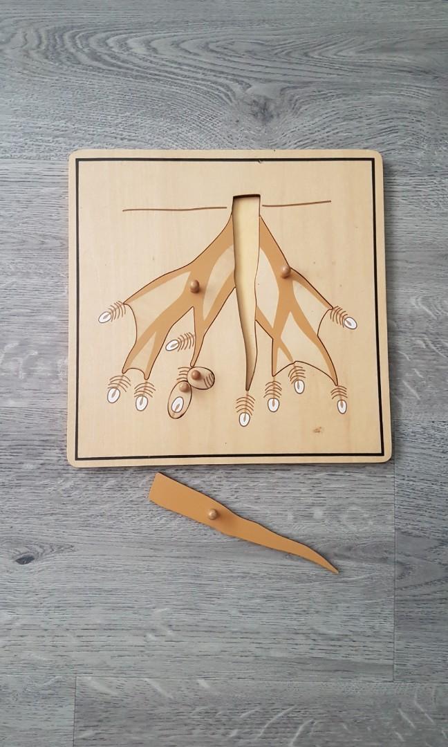 Montessori Wooden Knobbed Root Puzzle, Hobbies & Toys, Toys & Games on ...