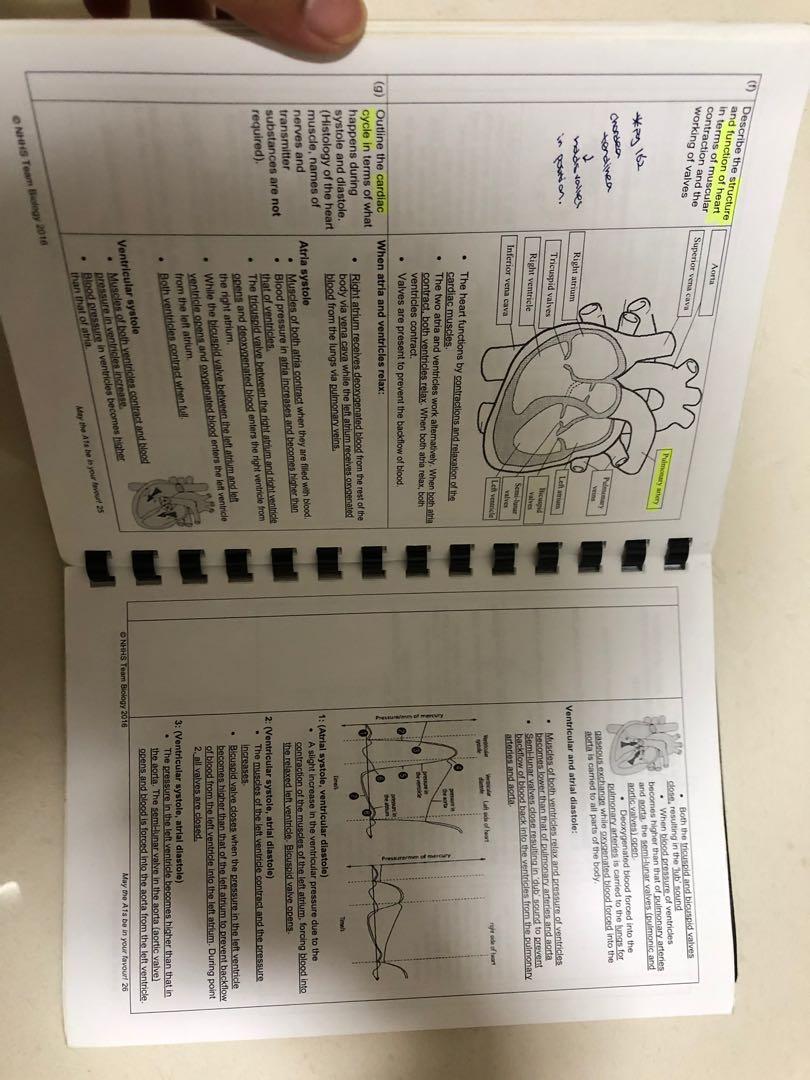 Nan Hua High School (NHHS) - Biology Summary, Hobbies & Toys, Books ...