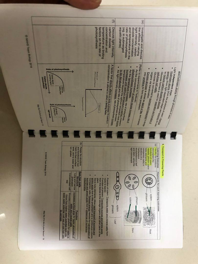 Nan Hua High School (NHHS) - Biology Summary, Hobbies & Toys, Books ...