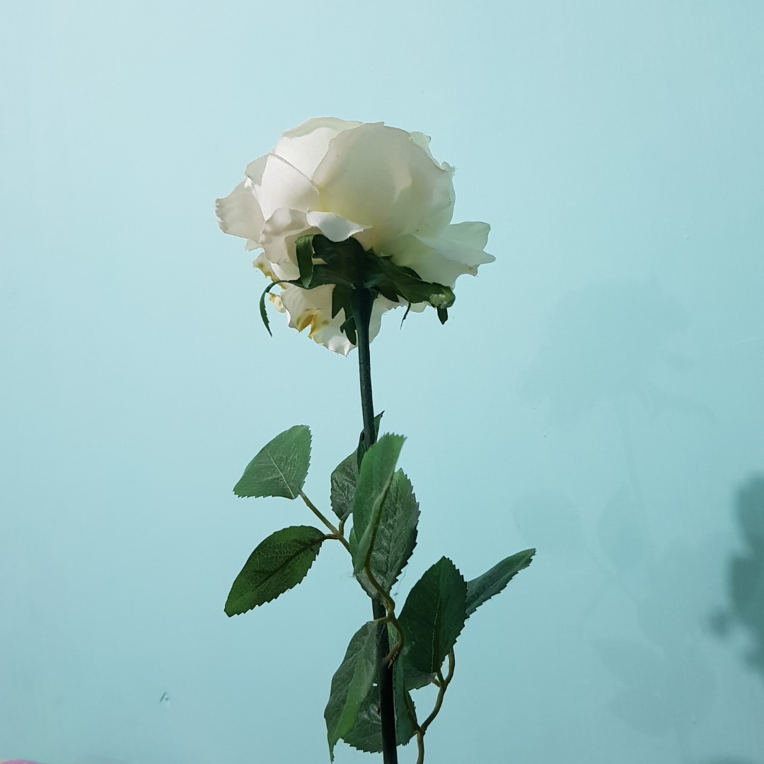 #BAPAU Bunga Mawar Plastik / Tanaman Hias, Perkebunan di Carousell