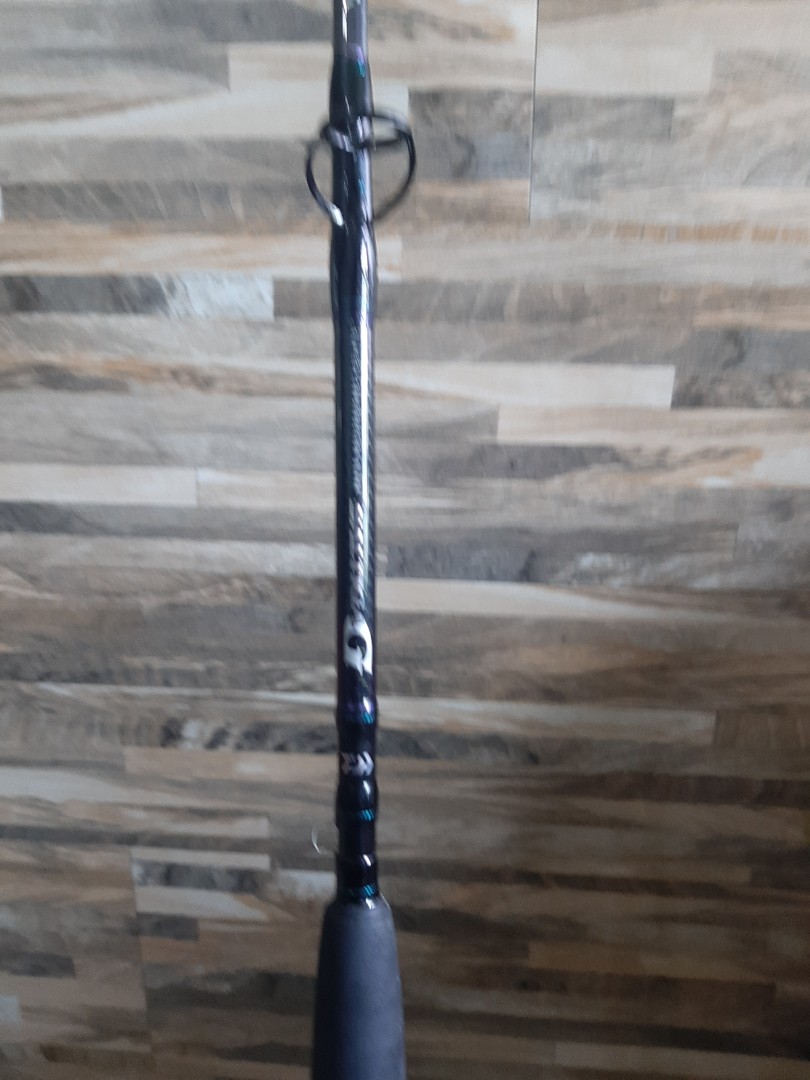 Daiwa Saltiga, Sports Equipment, Fishing on Carousell