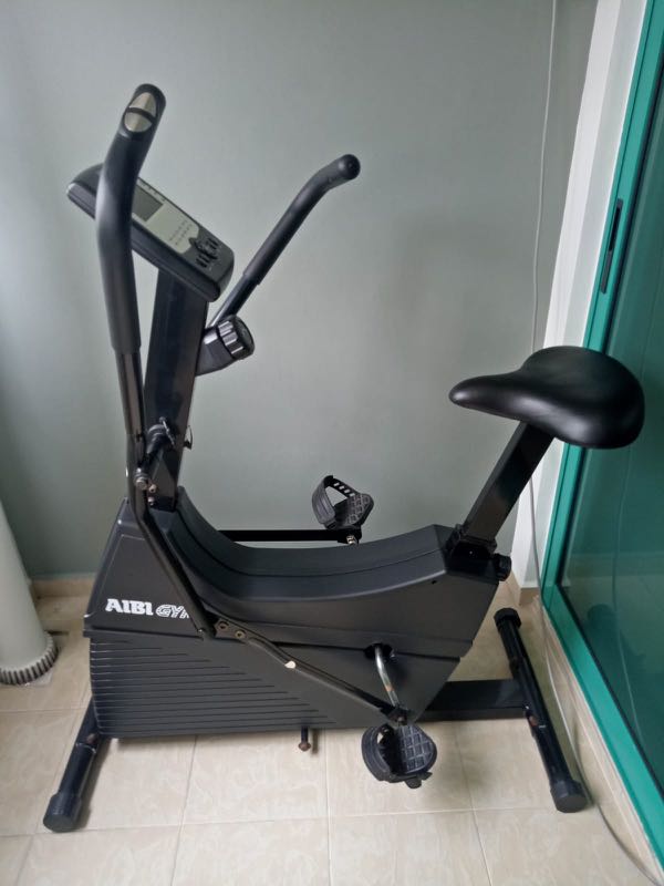 Exercise bike AIBI, Sports Equipment, Exercise & Fitness, Cardio ...