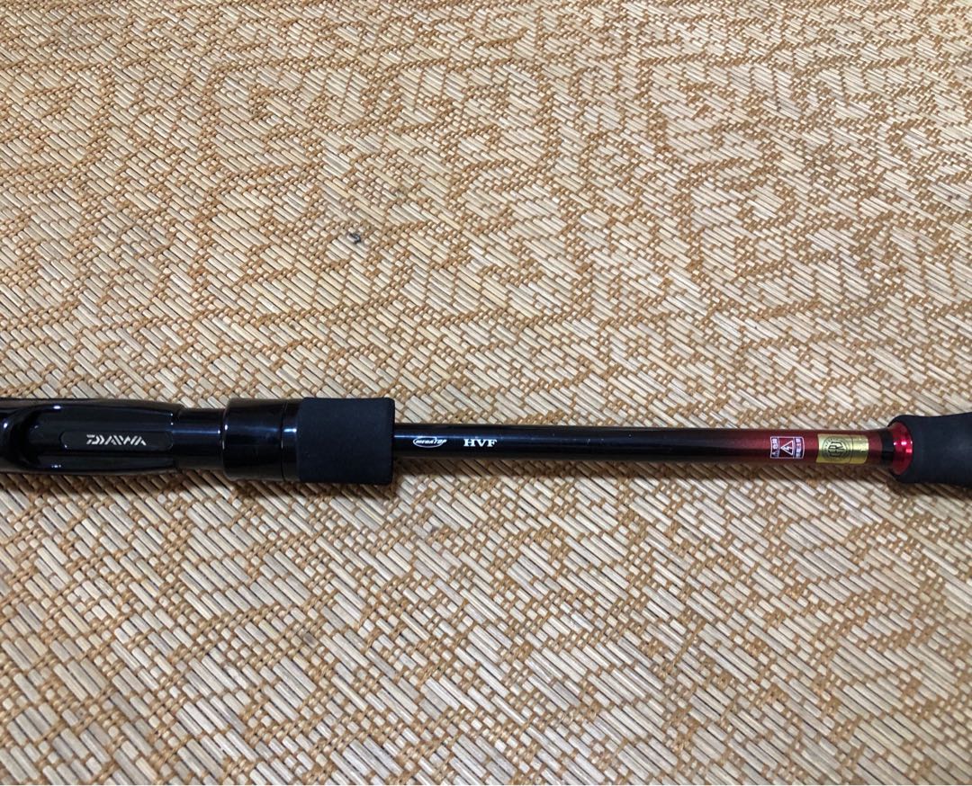Daiwa Silverwolf fishing rod, Sports Equipment, Fishing on Carousell