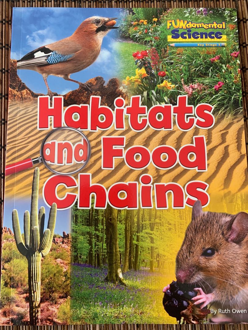 Fundamental Science: Habitats and Food Chains, Hobbies & Toys, Books ...