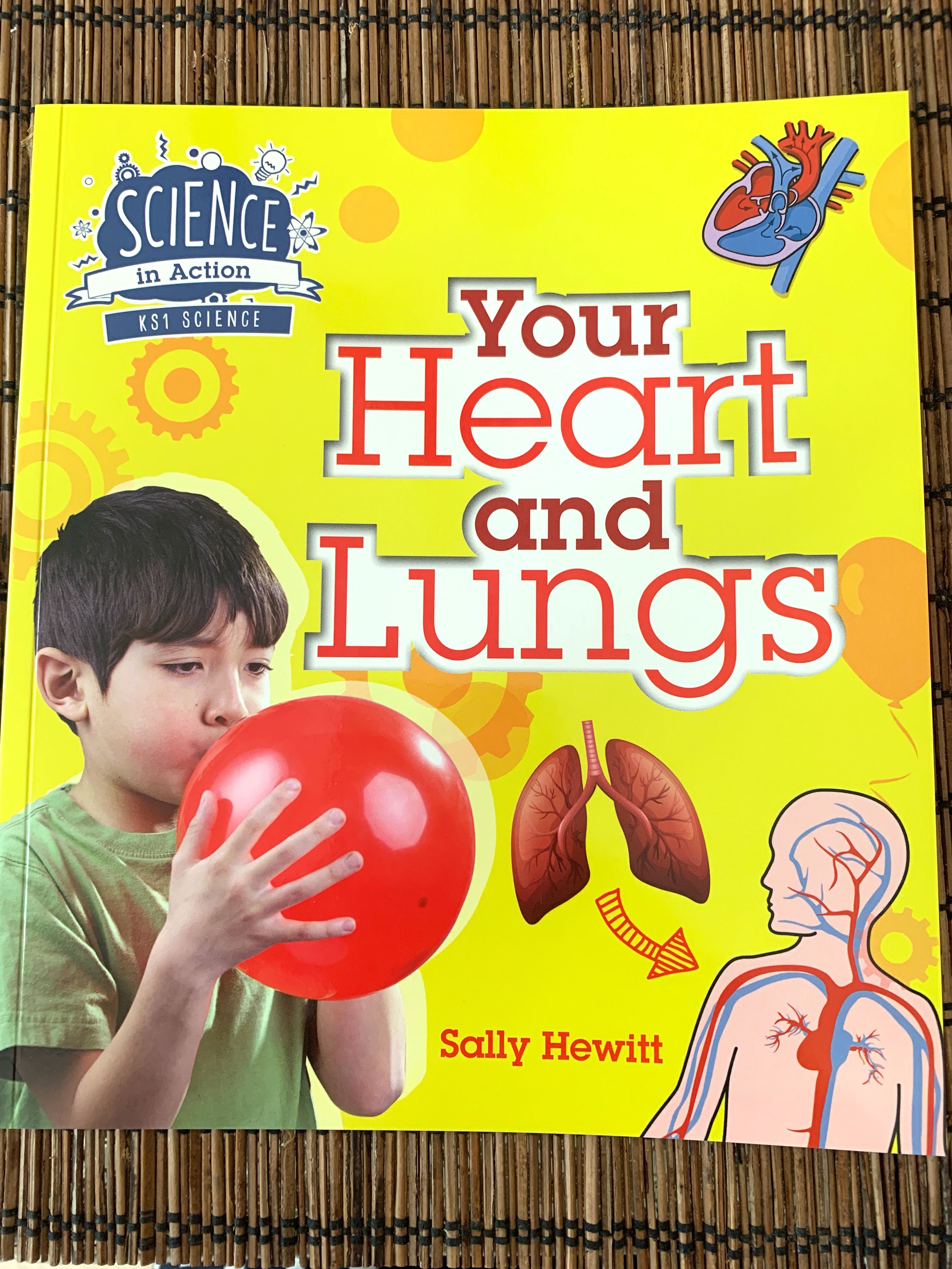 Science in Action: Your Heart and Lungs, Hobbies & Toys, Books ...