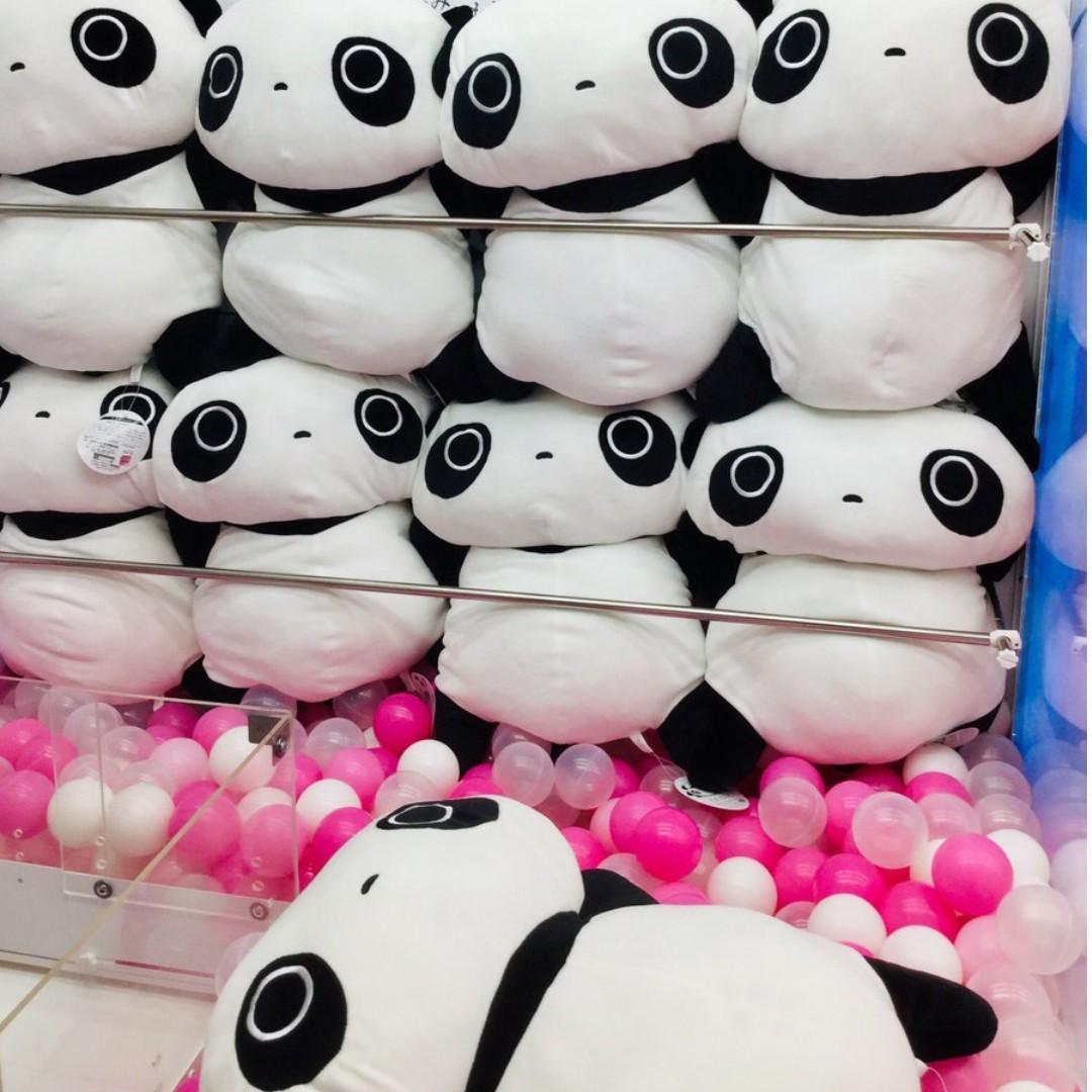 LAST PC - TARA PANDA - SOFT PLUSH 50cm HUGE - JAPAN, Hobbies & Toys ...