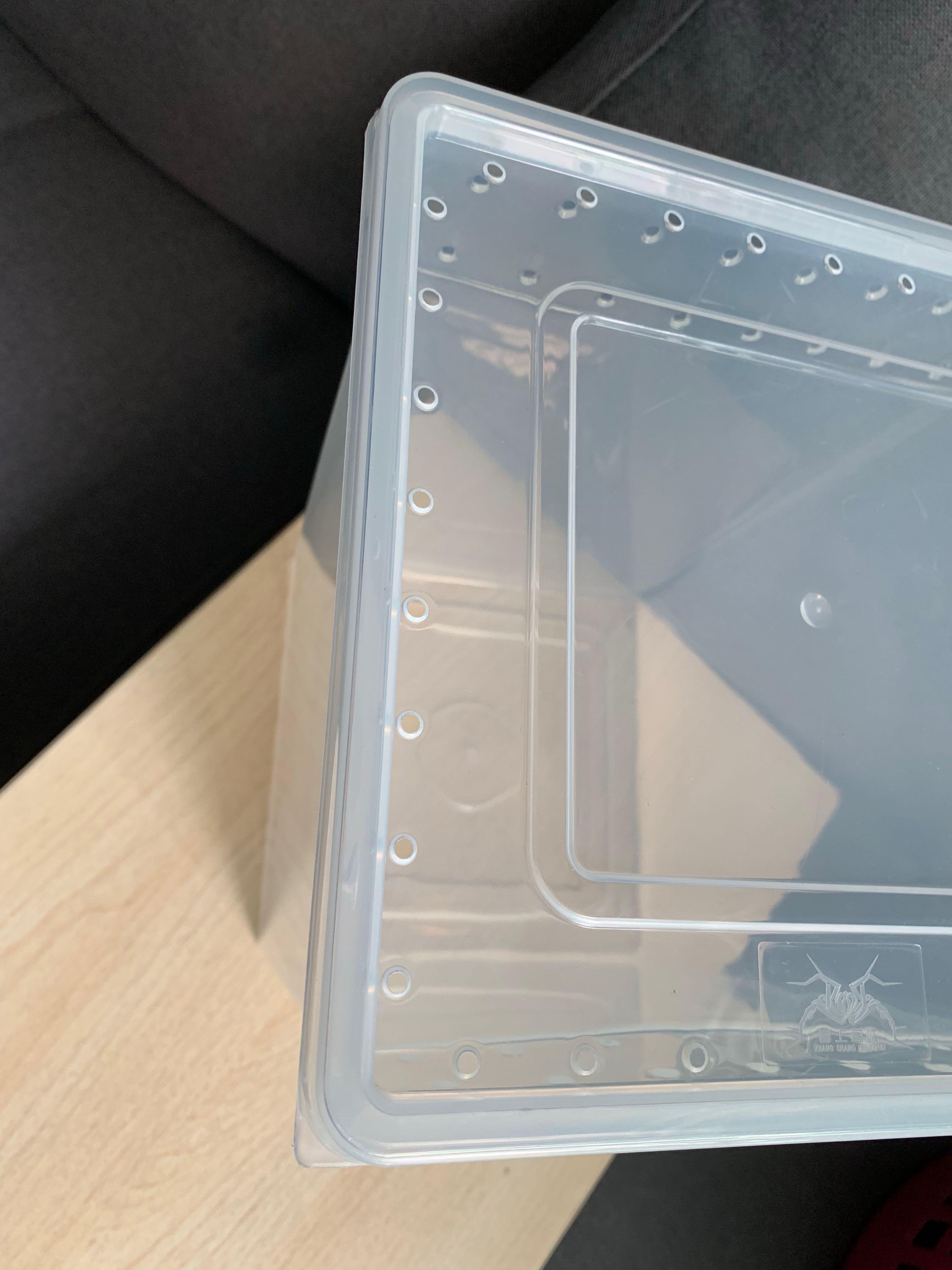 Tall plastic insect reptile transport / rearing box, Pet Supplies ...