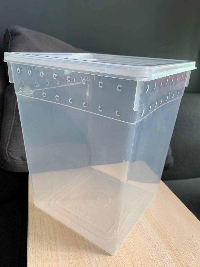 Tall plastic insect reptile transport / rearing box, Pet Supplies ...