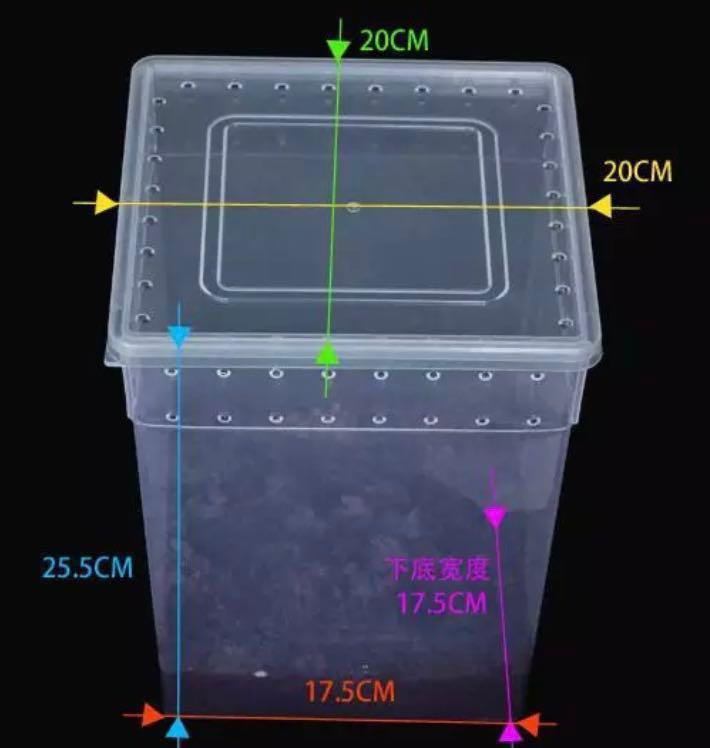 Tall plastic insect reptile transport / rearing box, Pet Supplies ...
