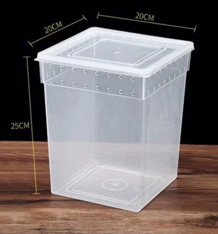 Tall plastic insect reptile transport / rearing box, Pet Supplies ...