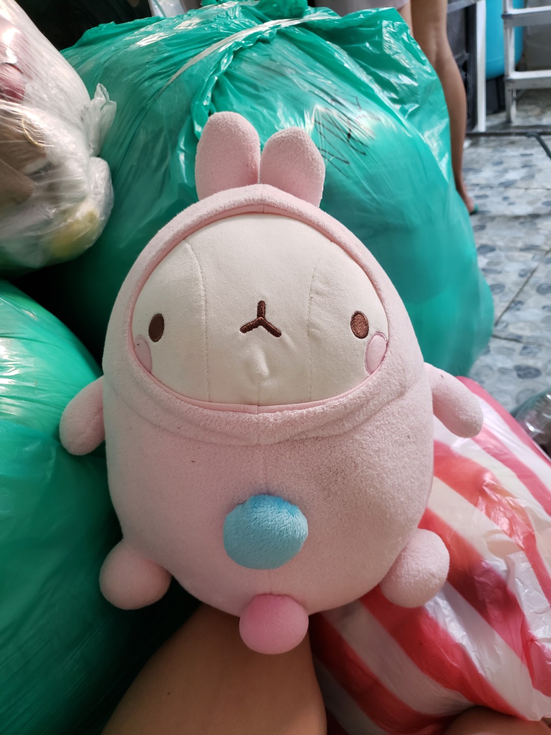 Molang bulky, Hobbies & Toys, Toys & Games on Carousell