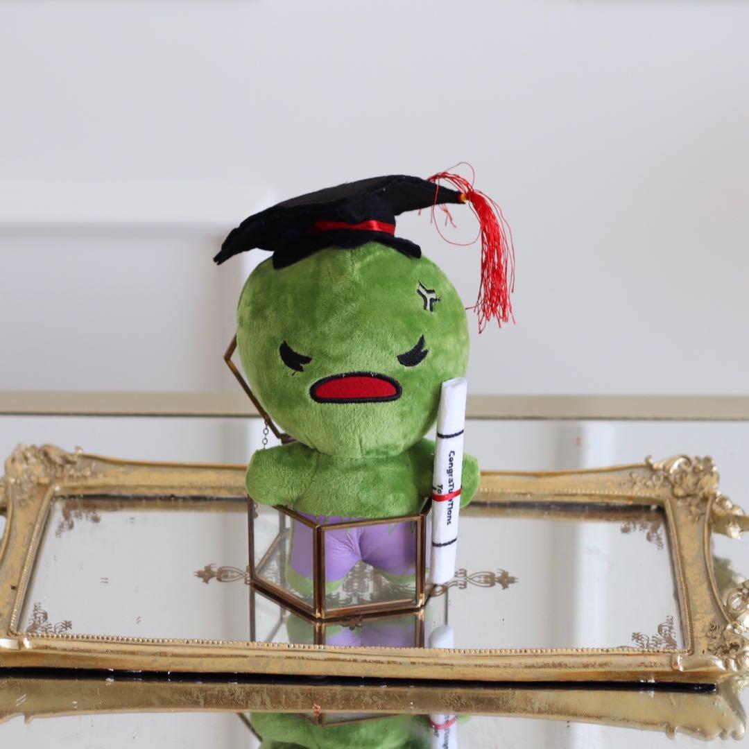 Marvel Characters Graduation Plushie | Free Delivery, Hobbies & Toys ...