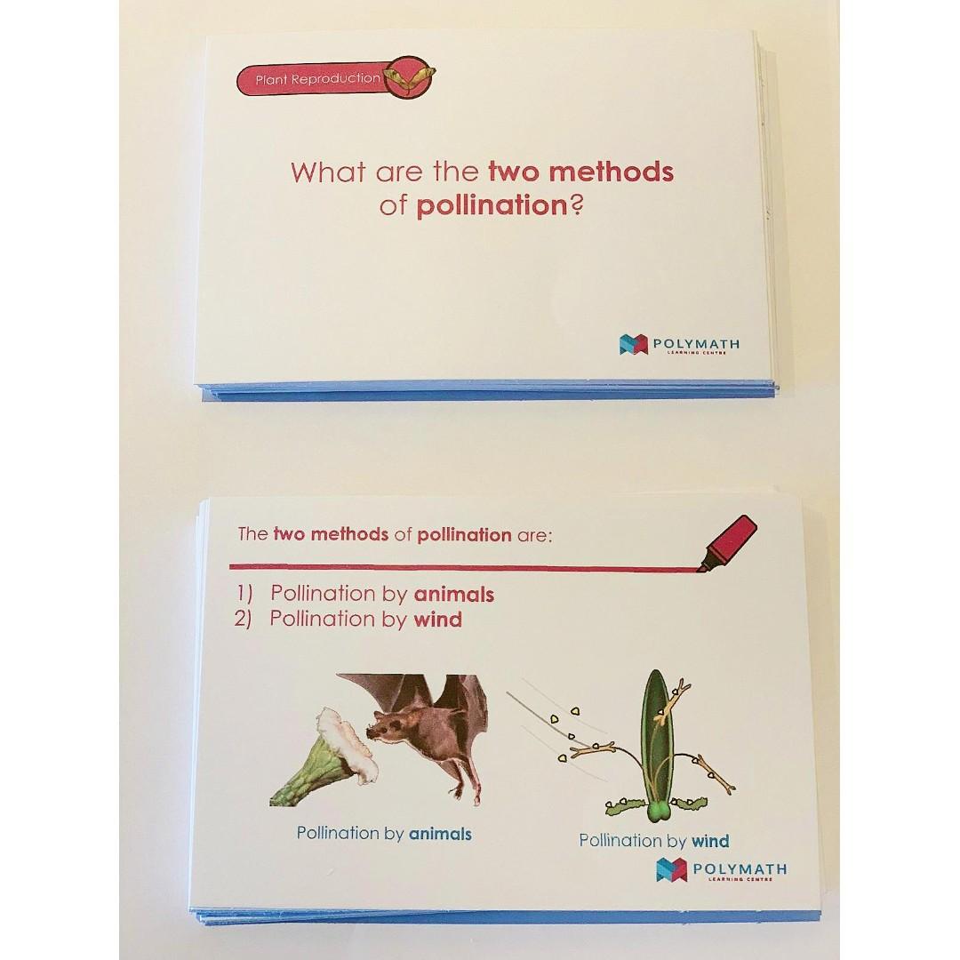 PSLE Science Flashcards (Most detailed Flashcards ever, selling at $30 ...