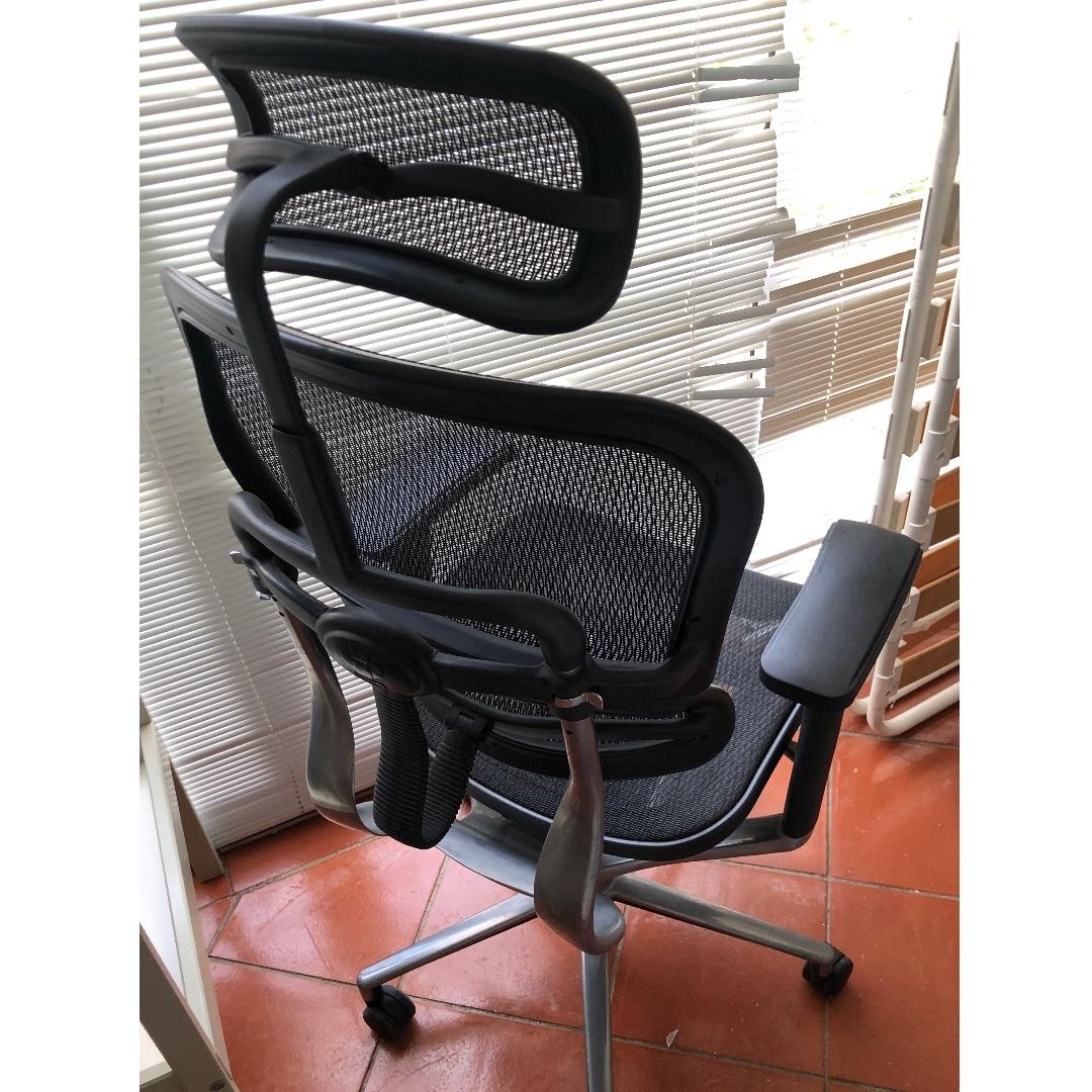 Raynor Ergohuman Chair ME7ERG - Mesh with Headrest, Furniture & Home ...