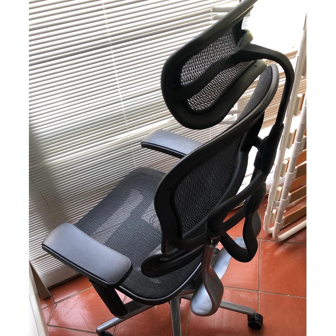 Raynor Ergohuman Chair ME7ERG - Mesh with Headrest, Furniture & Home ...